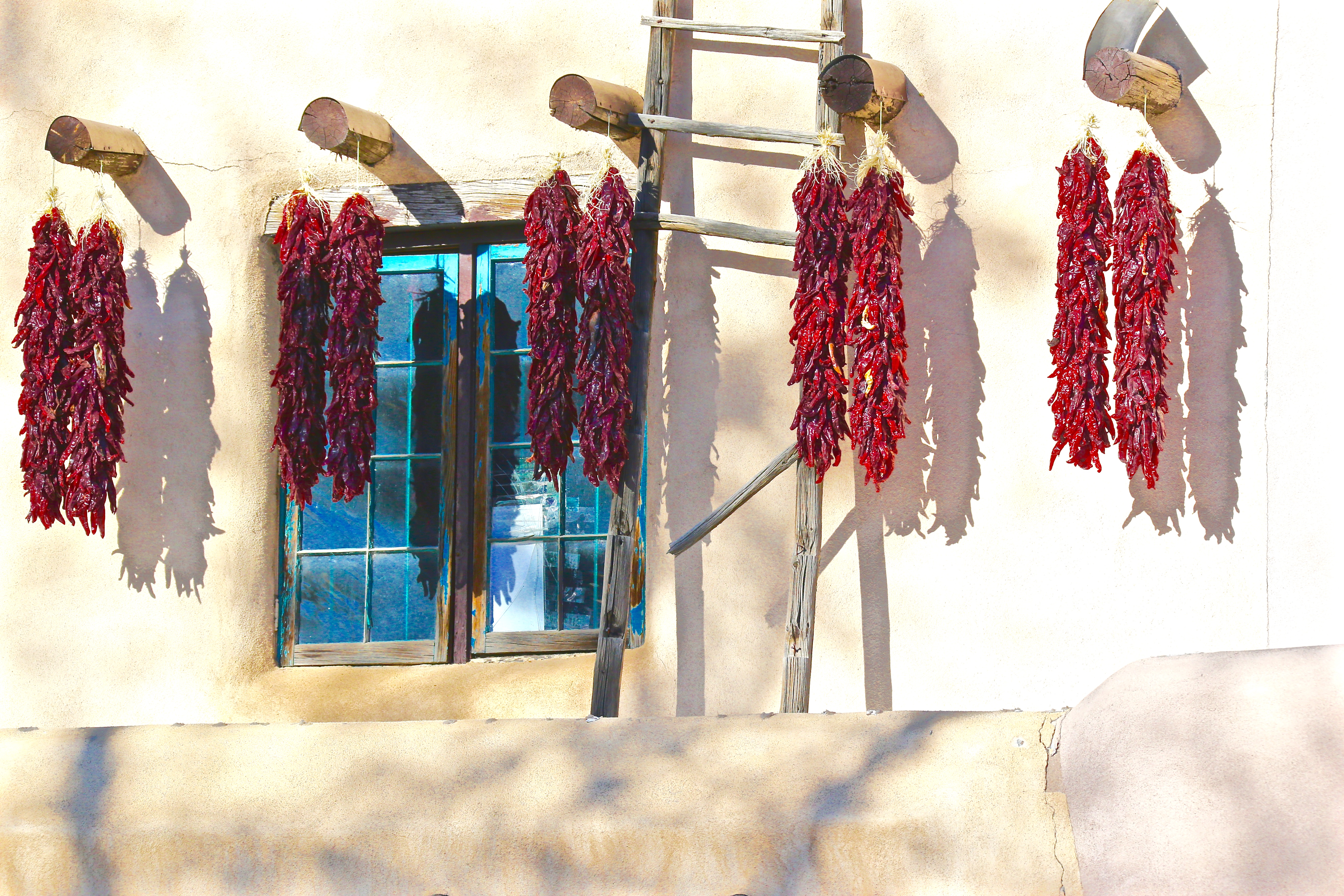 Red Chili Ristras | Shutterbug